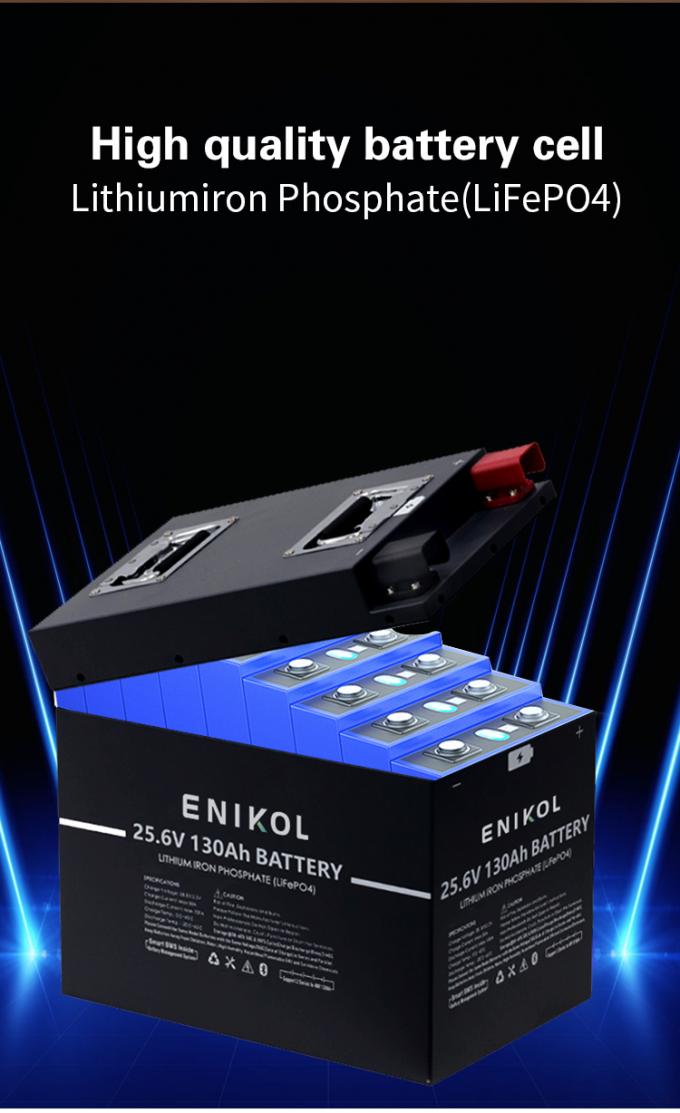 Lifepo4 24V Lithium Battery 12V Lithium Ion Battery Pack 120ah 100ah ...